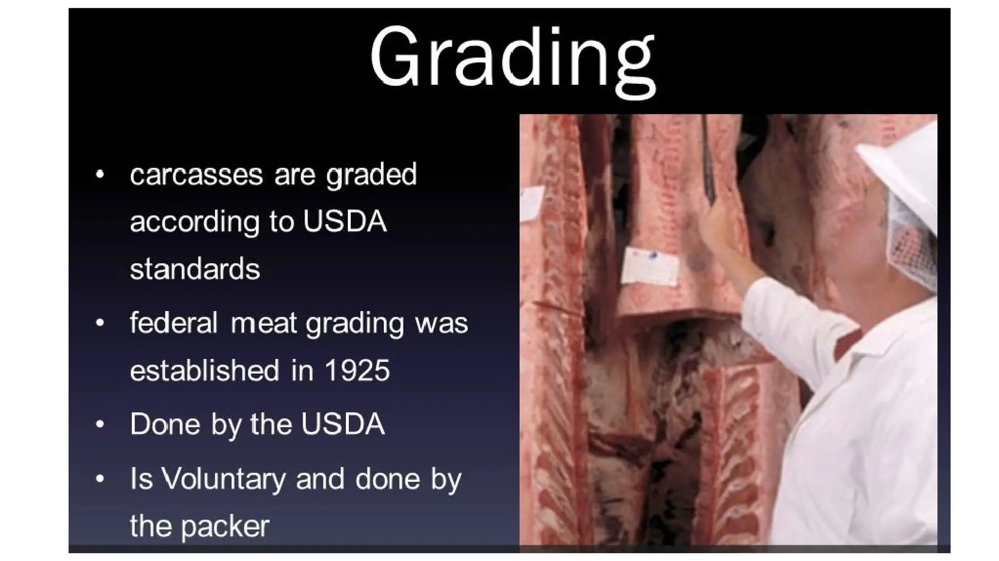 Meat Grading.pptx different types of meat | PPTX