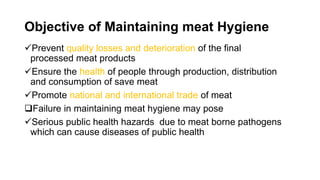 Sanitation and hygiene in meat processing.pptx