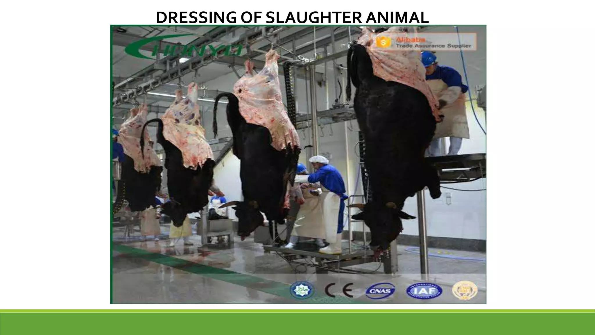 Meat hygiene and inspection | PPT