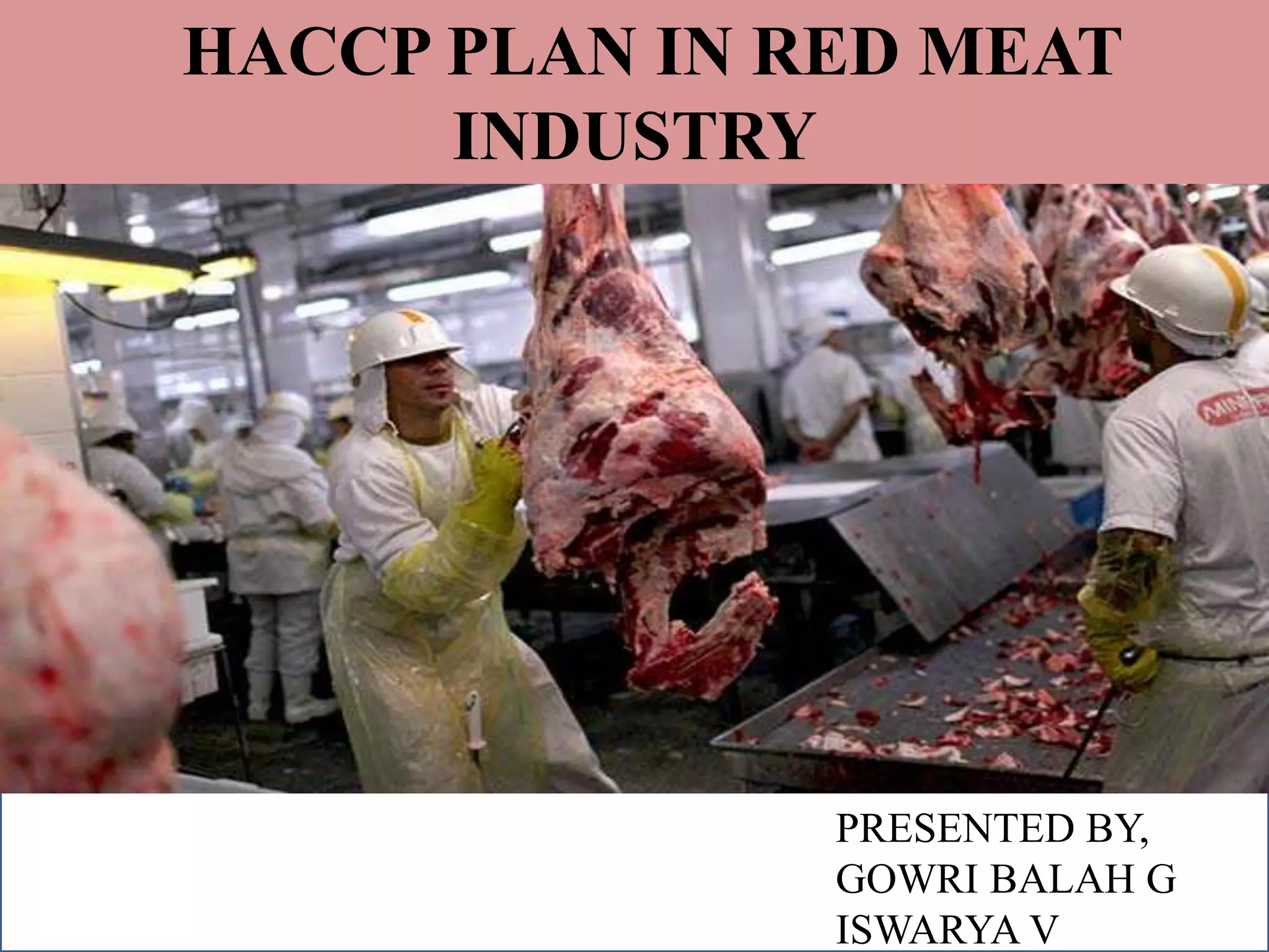 Meat industry haccp | PPTX