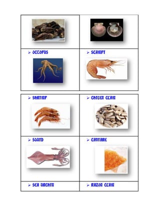 Meat ingles | DOCX