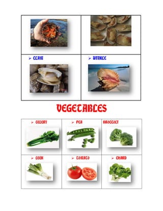 Meat ingles | DOCX
