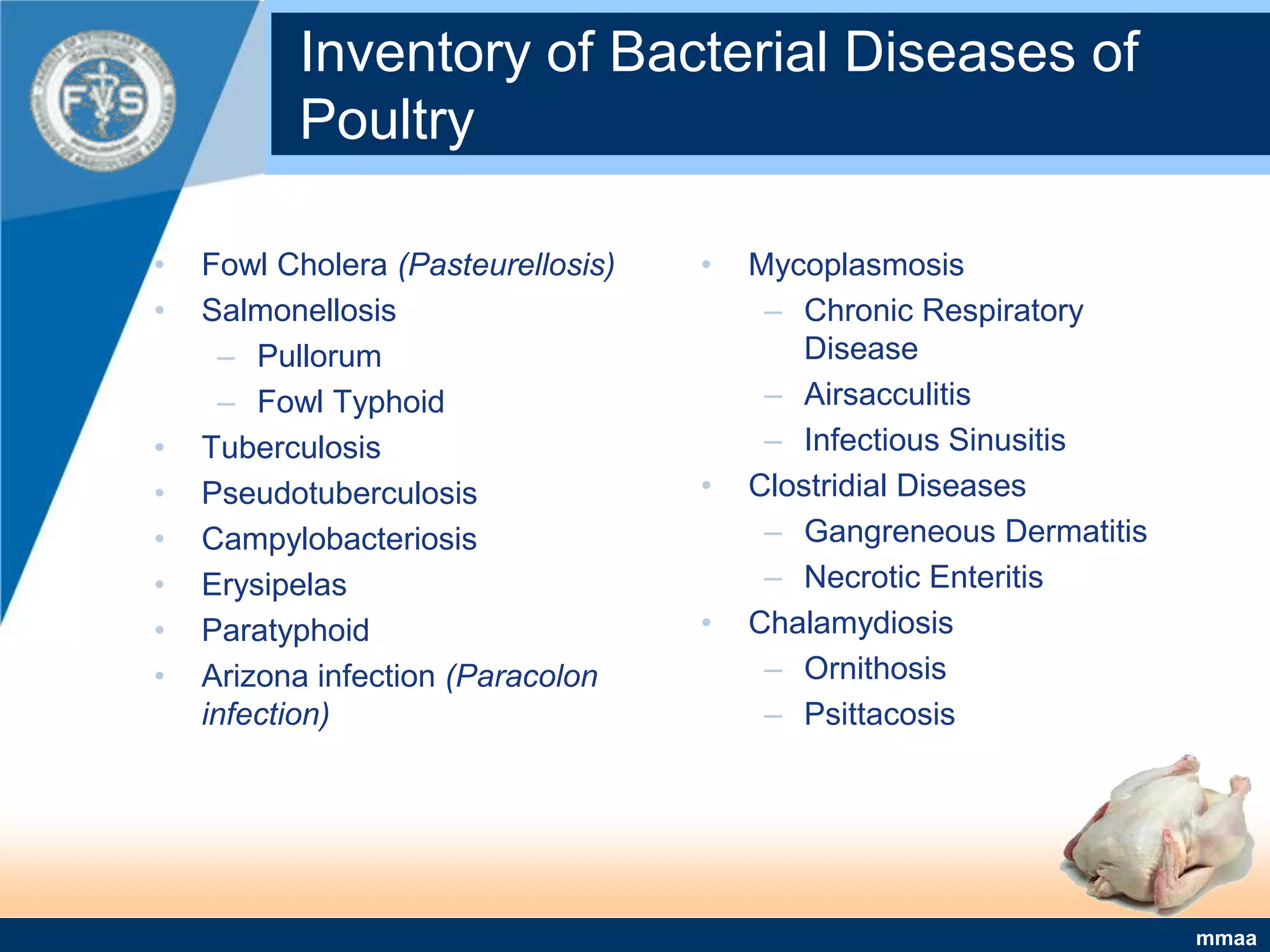 Meat Inspection In Poultry | PPSX