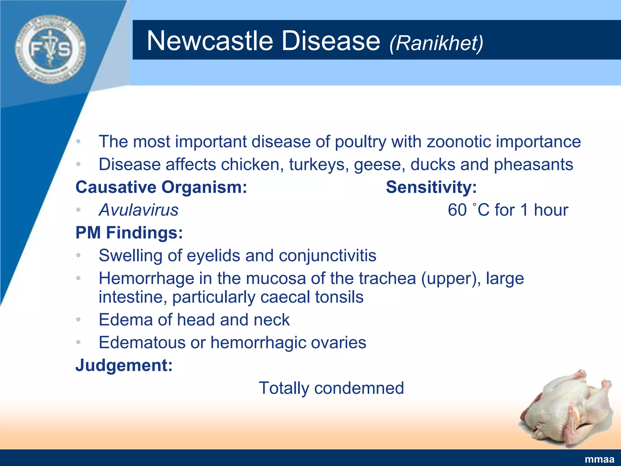 Meat Inspection In Poultry | PPSX