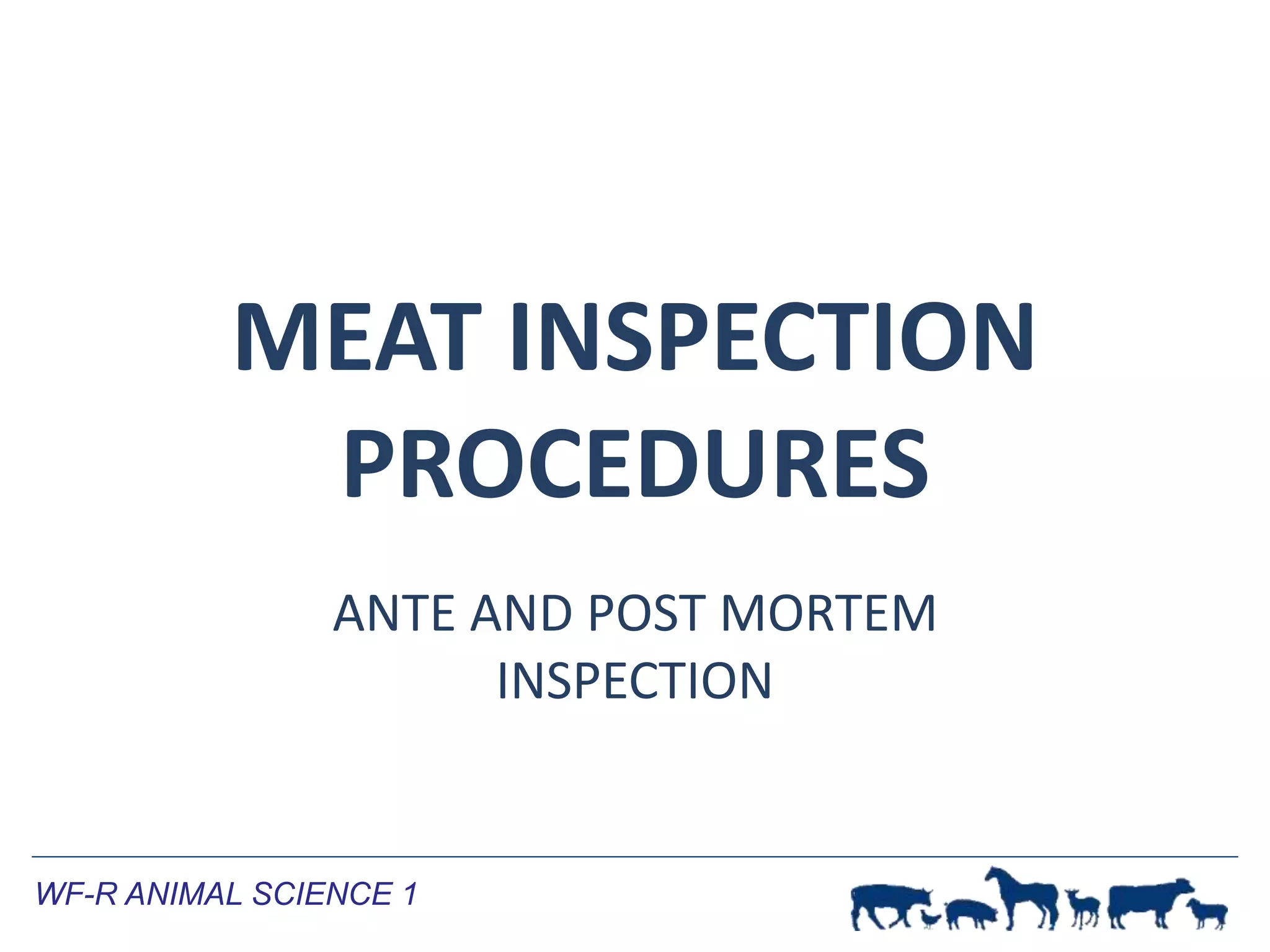 Meat Inspection Procedures | PPTX