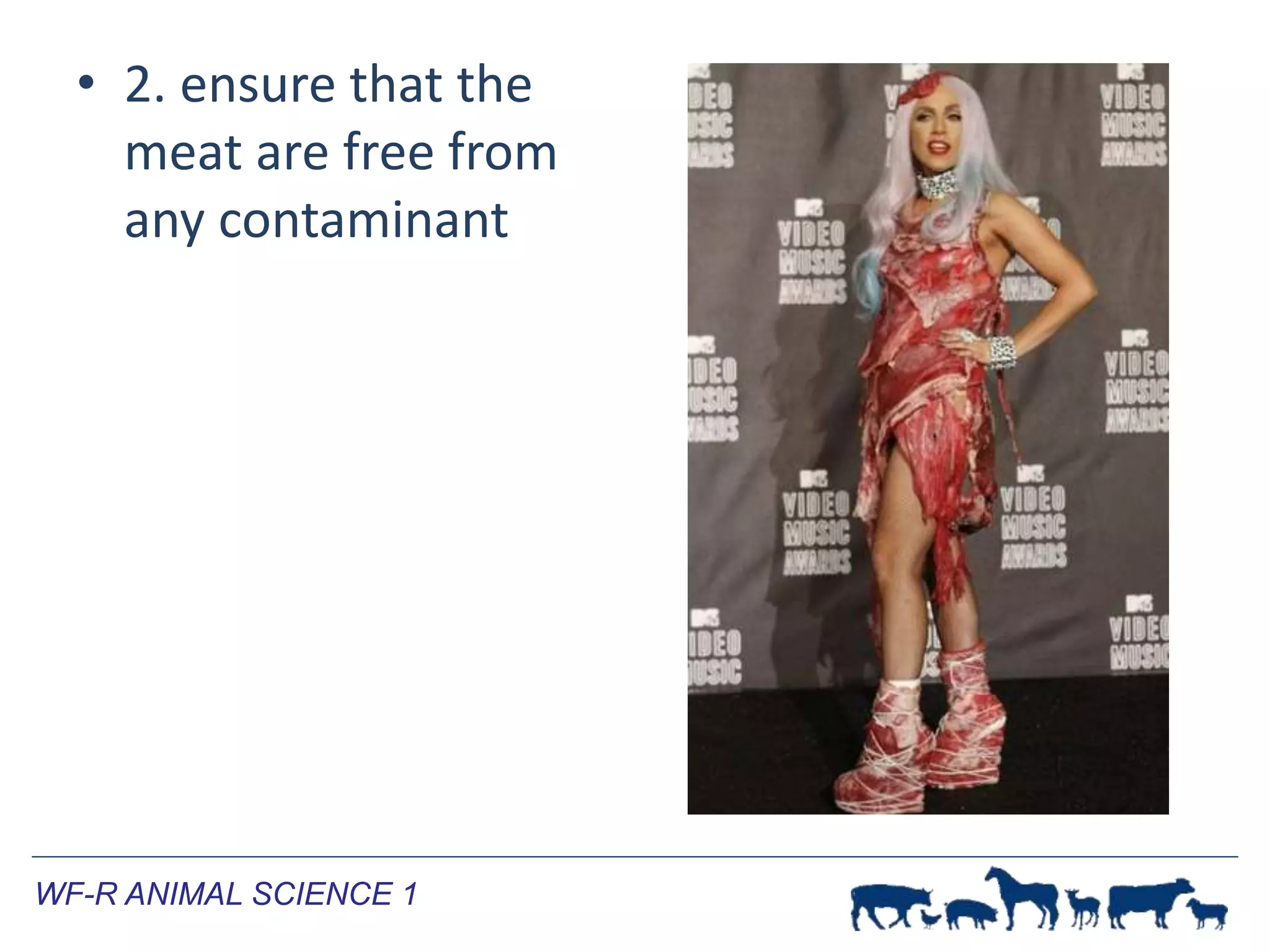 Meat Inspection Procedures | PPTX