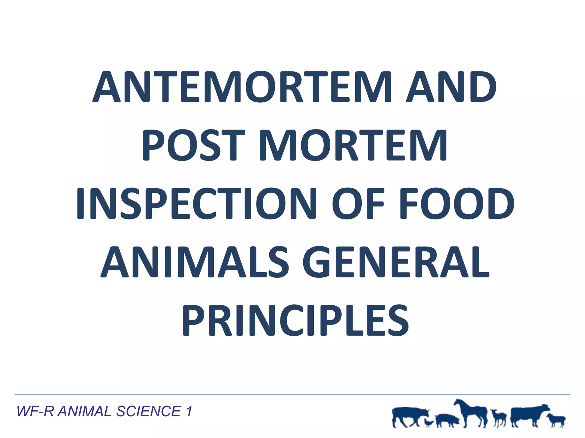 Meat Inspection Procedures | PPTX