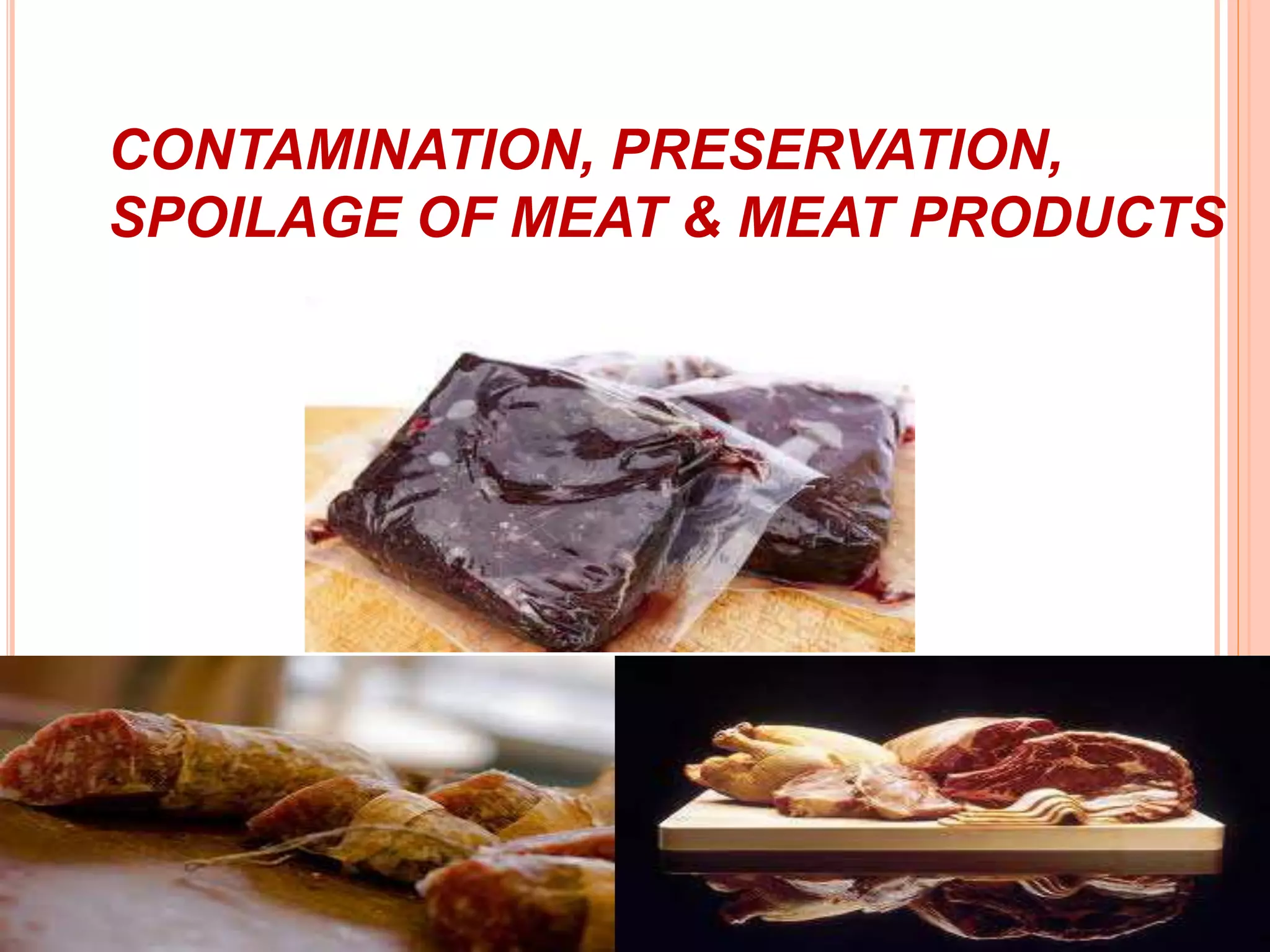 Microbial spoilage of meat & meat products | PPTX