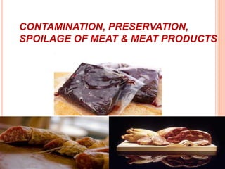 Microbial spoilage of meat & meat products | PPTX