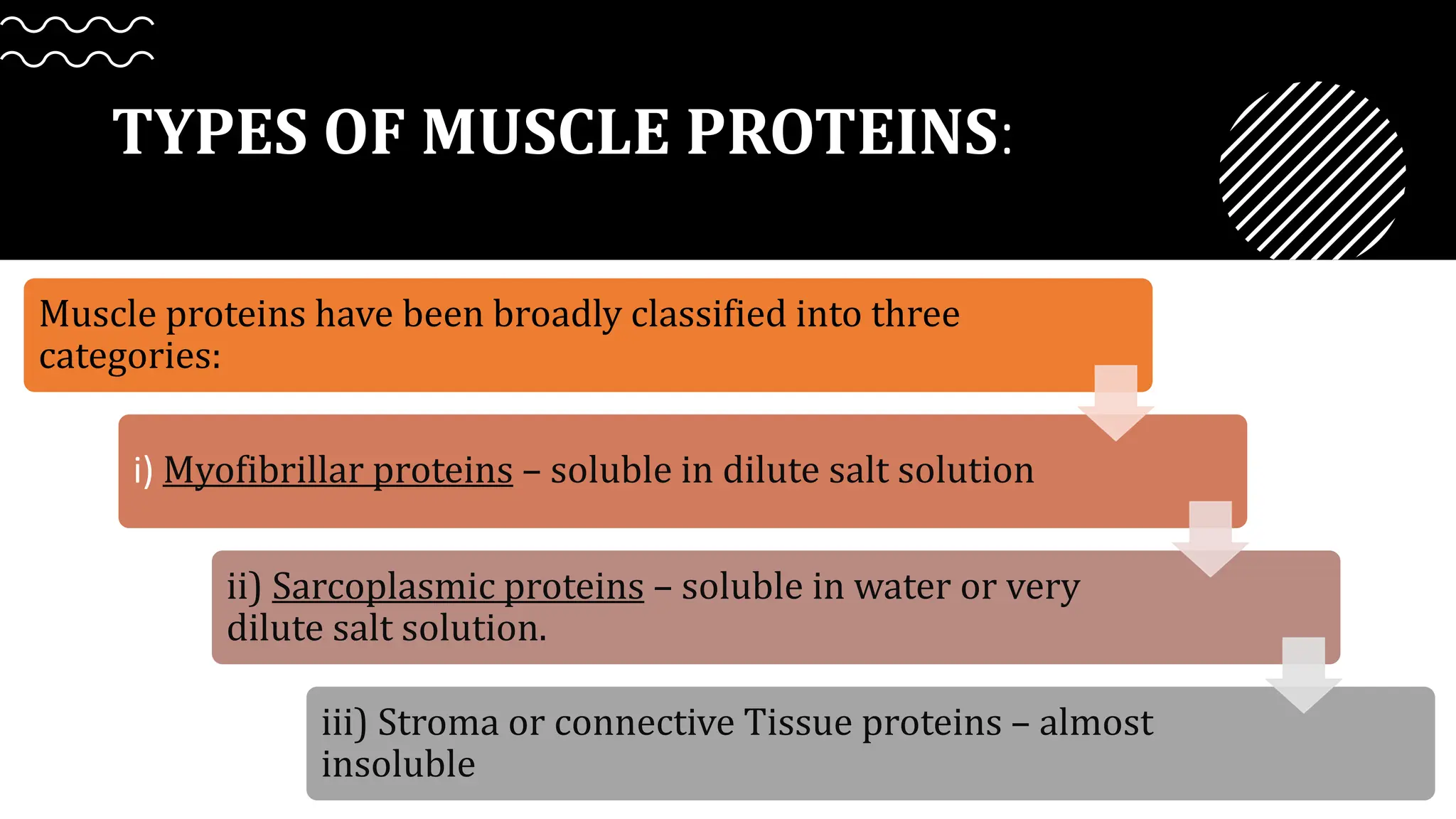 MEAT MUSCLE PROTEINS. Premraja N.pptx