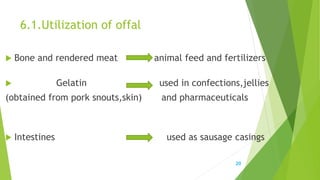 Meat packing poultry industry | PPTX