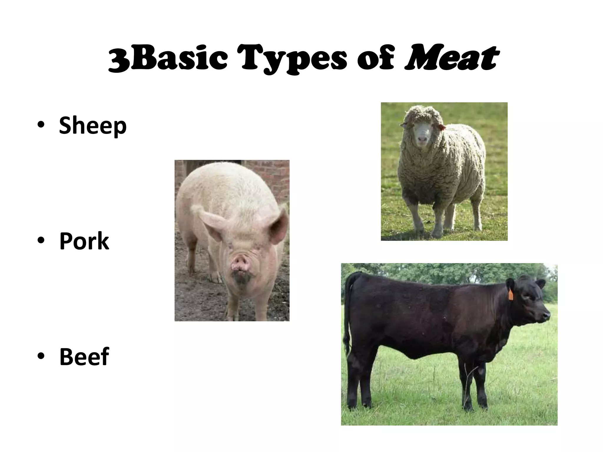 Meat & Poultry PowerPoint | PPTX