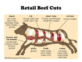 Meat & Poultry PowerPoint | PPTX