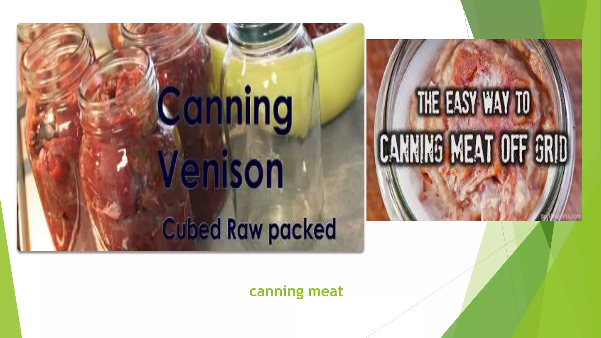 Meat preservation | PPTX