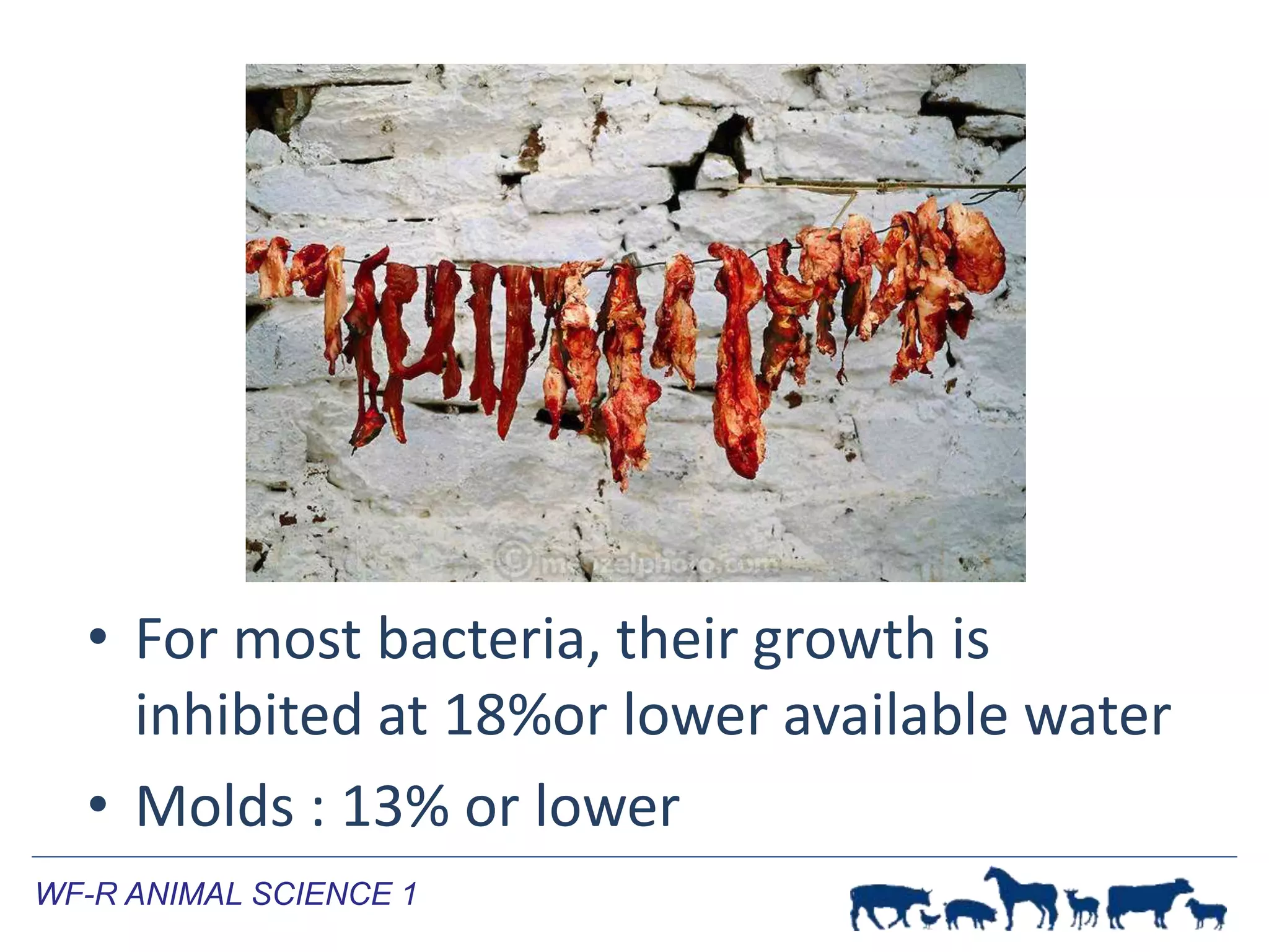 Meat Processing | PPTX