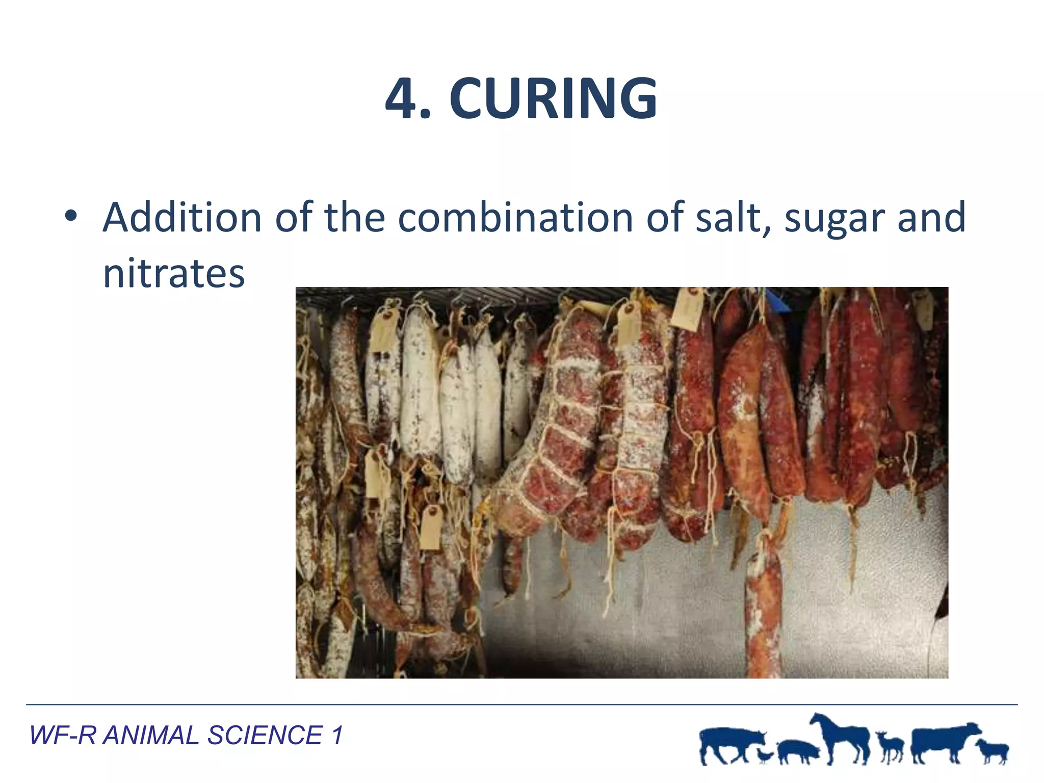 Meat Processing | PPTX
