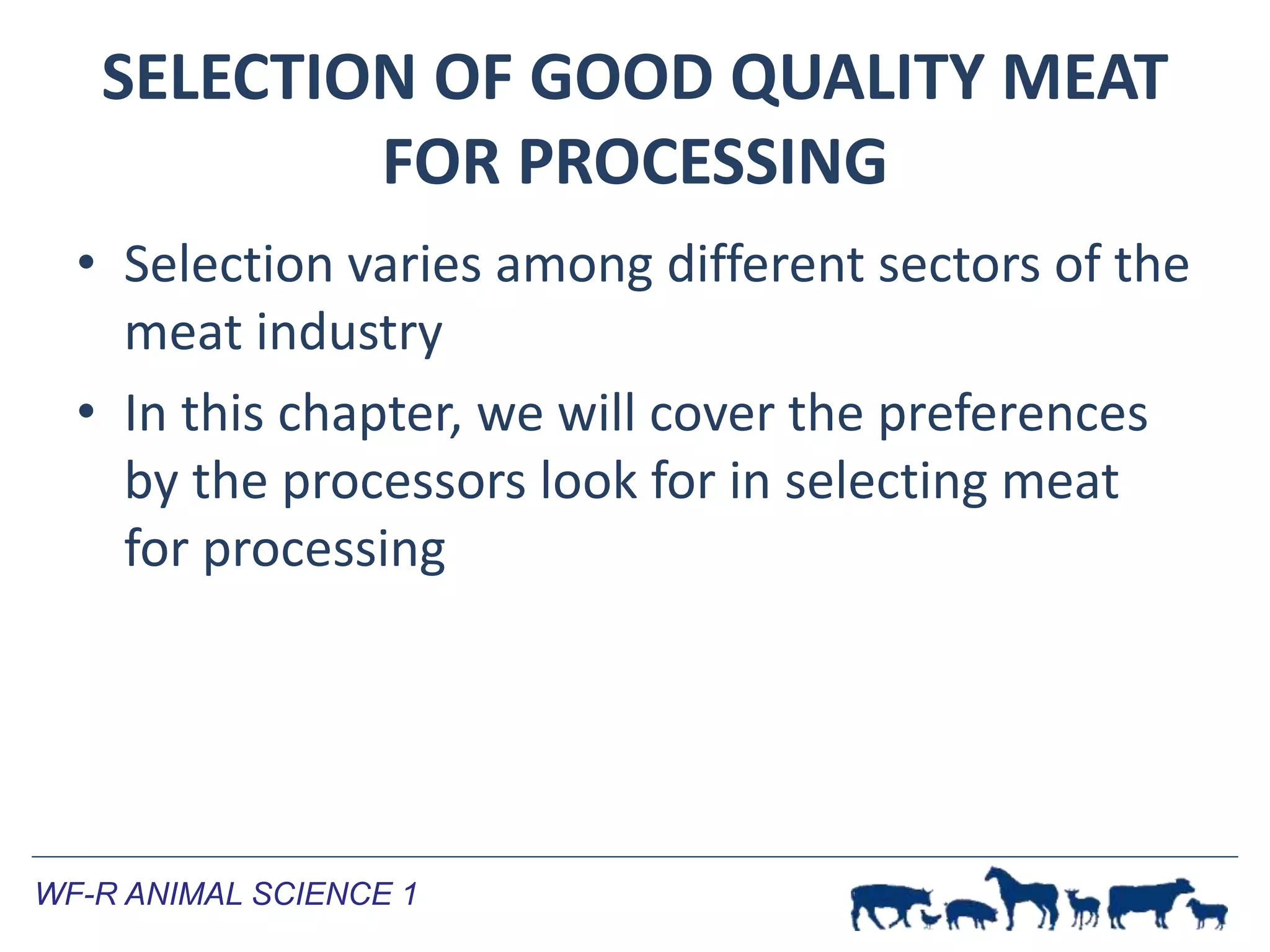 Meat Processing | PPTX