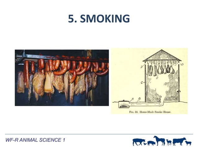 Meat Processing | PPTX