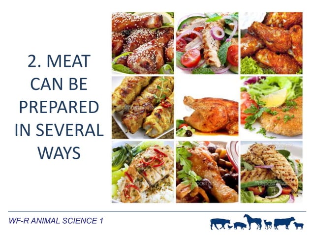 Meat Processing | PPTX