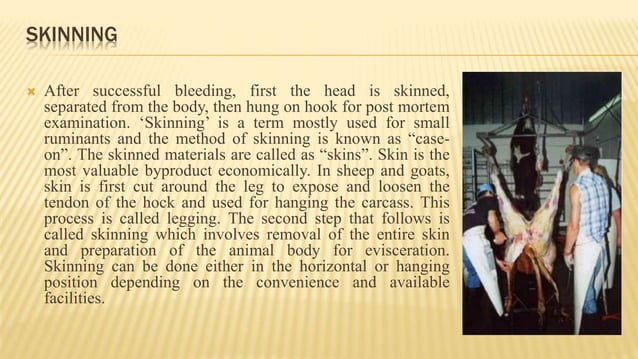 MEAT PROCESSING TECHNOLOGY | PPTX | First Aid | Injuries