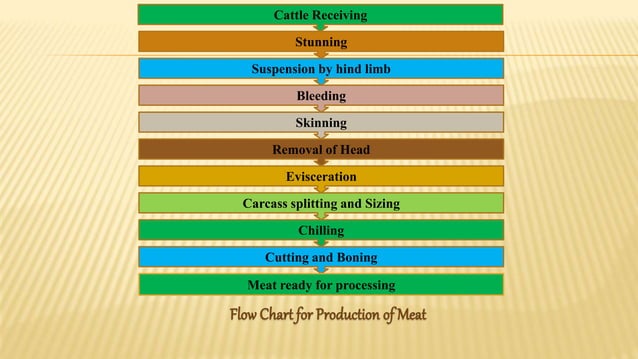 MEAT PROCESSING TECHNOLOGY | PPTX | First Aid | Injuries
