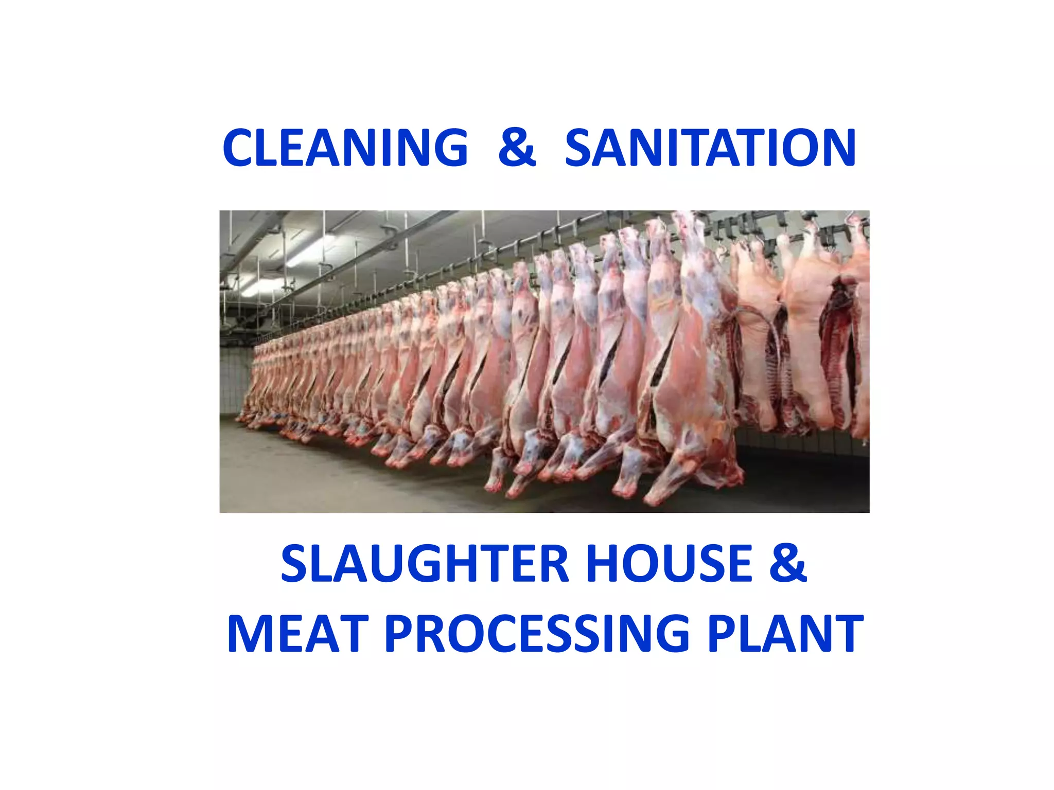 Meat Processing Facility Cleaning & Disinfection | PPSX