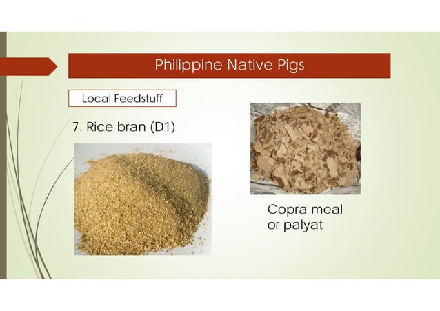 Meat processing from Organically-Grown Native Pig | PPT