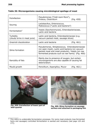 Meat processing hygeine | PDF