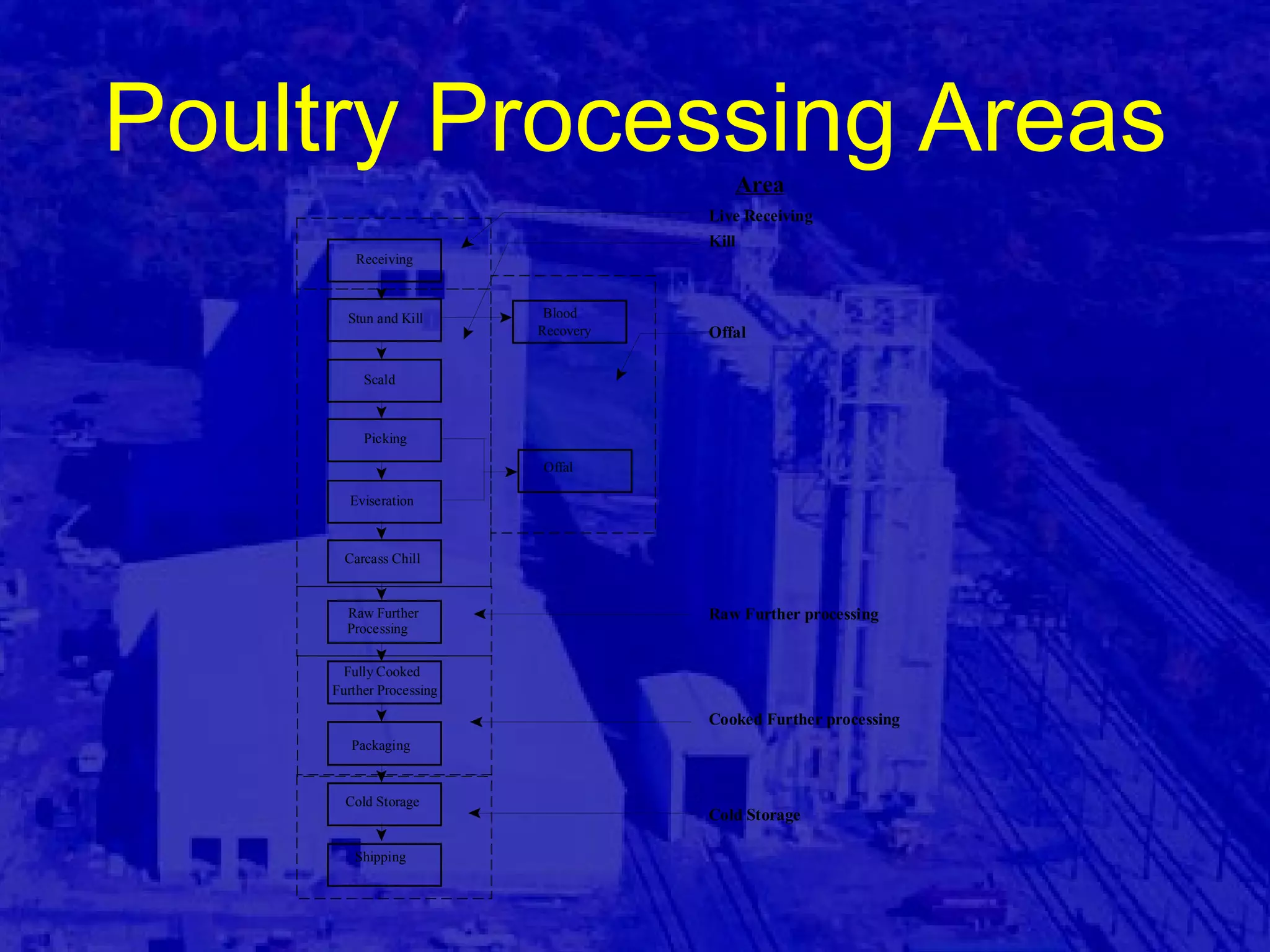 Meat Processing Facility Design | PPT