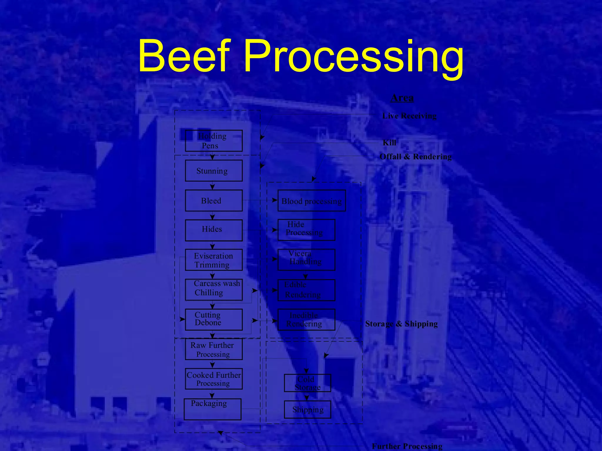 Meat Processing Facility Design | PPT