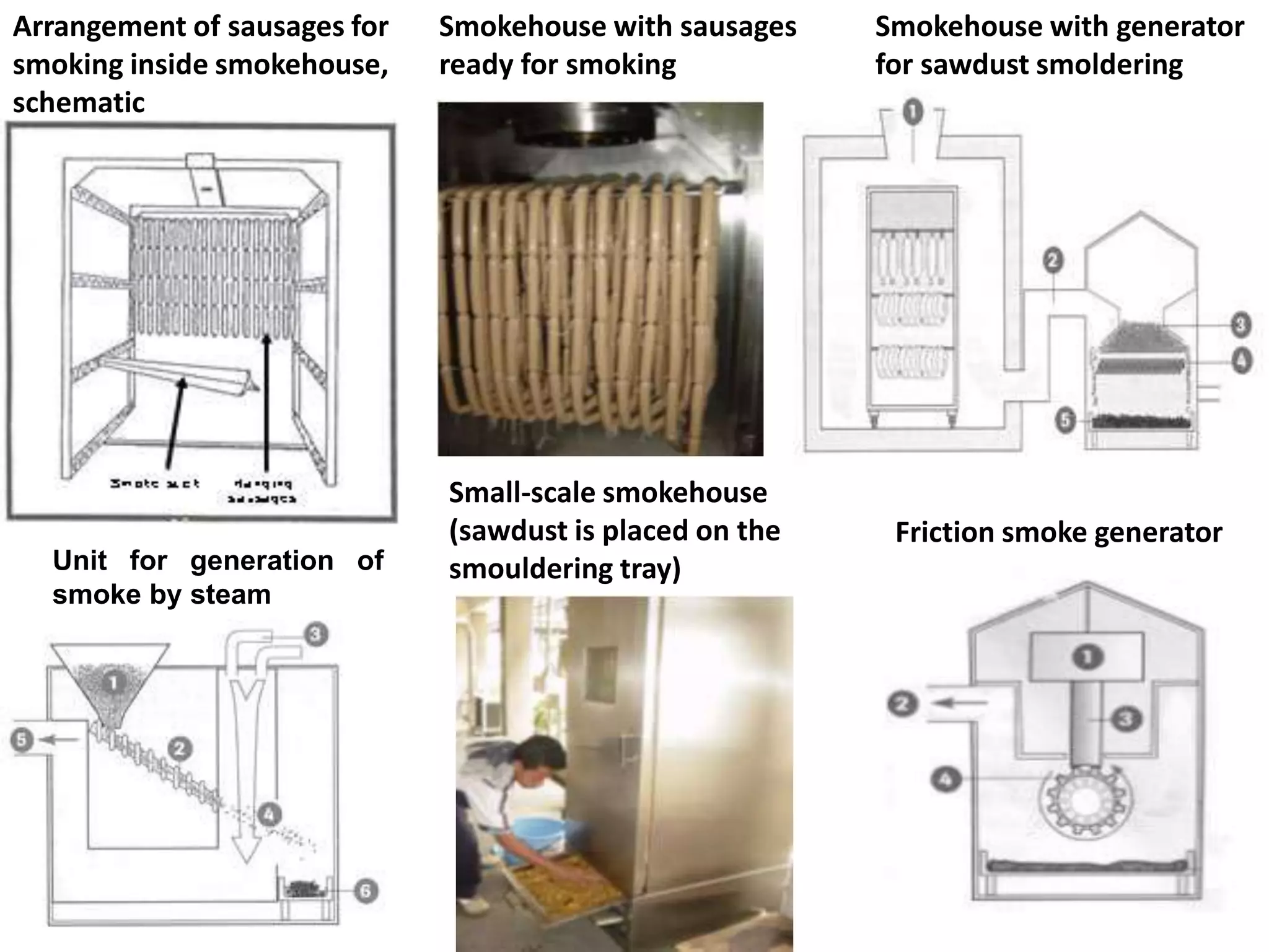 Meat processing principles | PPTX