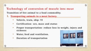 introduction to Meat processing technology.pdf