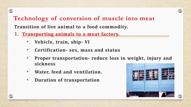 introduction to Meat processing technology.pdf