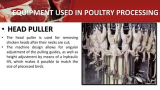 Meat Processing Tools and Equipment.pptx