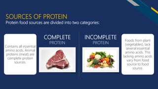 Meat protein | PPTX