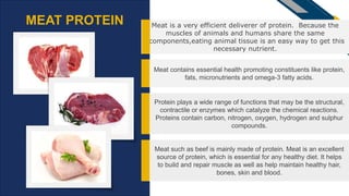 Meat protein | PPTX