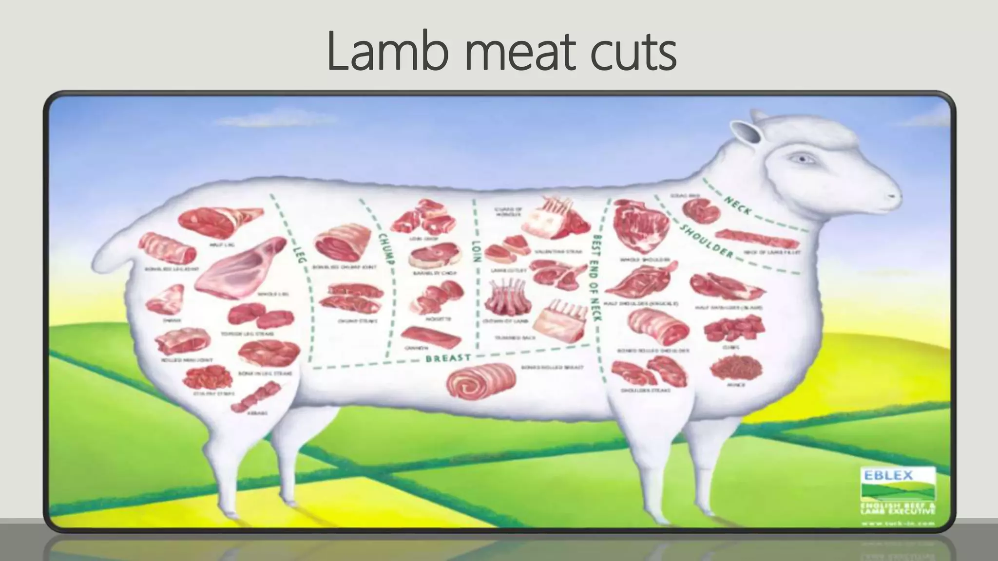 Principles-of-Meat | PPTX