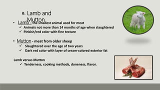 Principles-of-Meat | PPTX