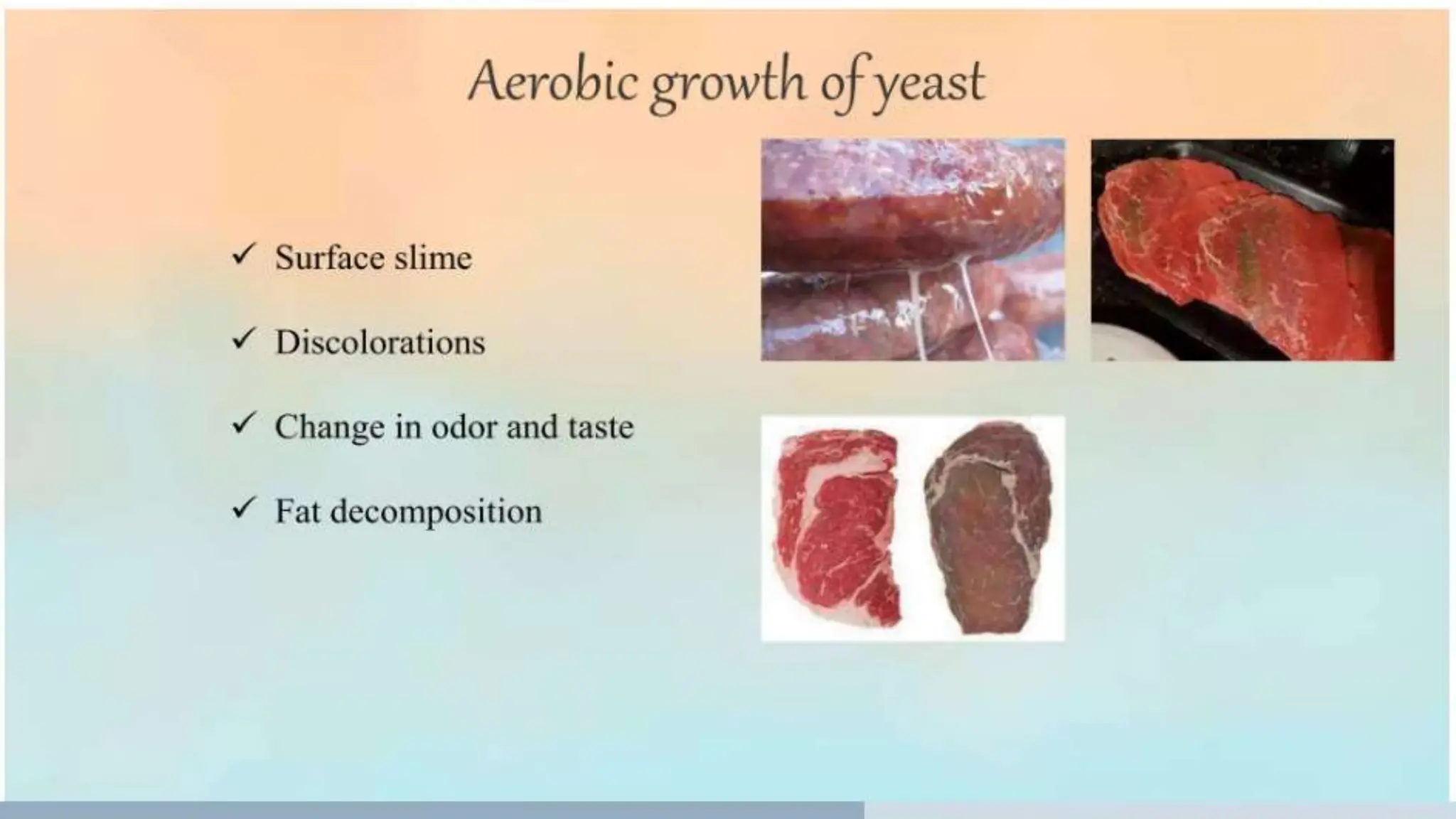 Microbial Decomposition and Spoilage of Meat | PPTX