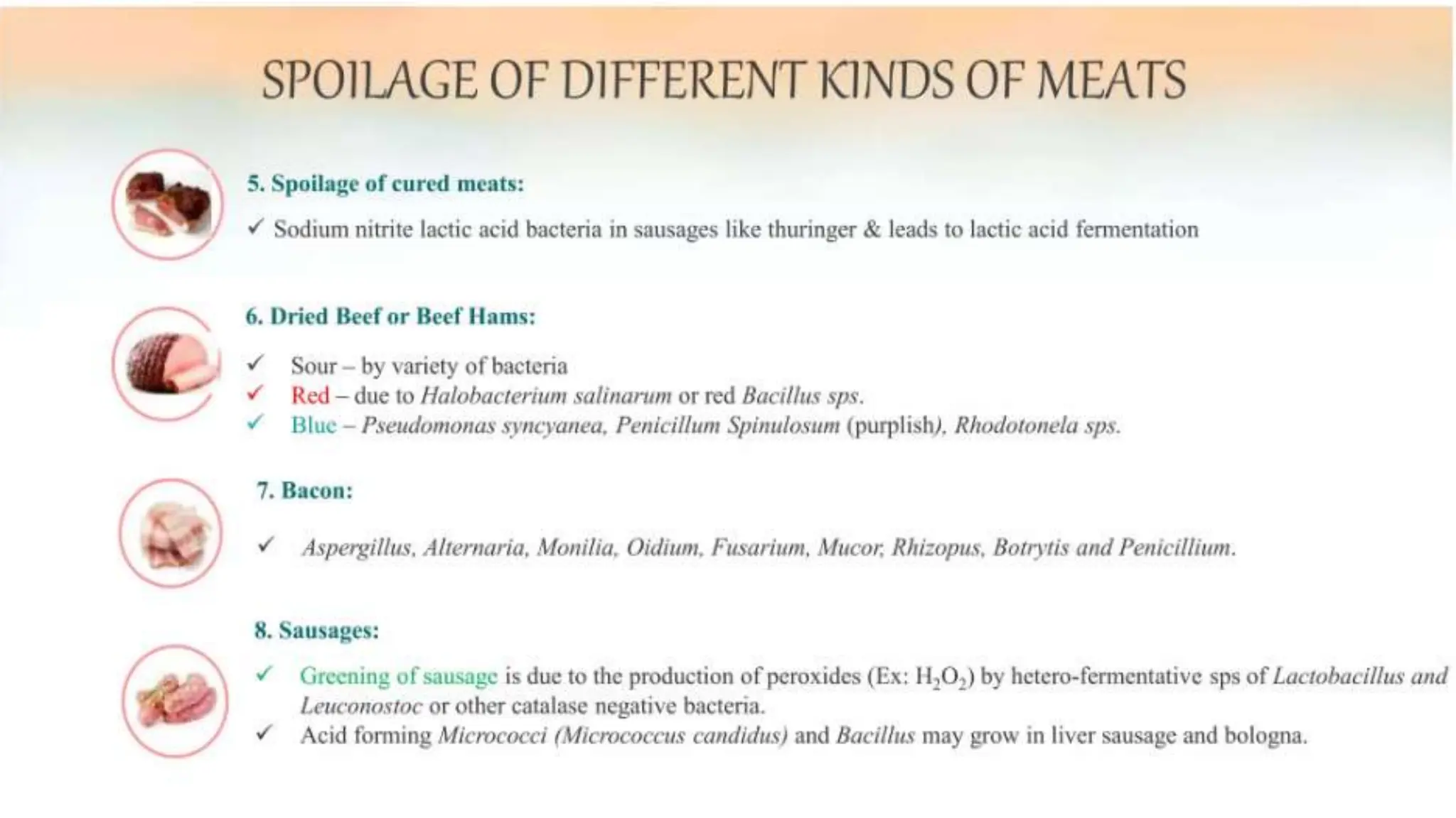 Microbial Decomposition and Spoilage of Meat | PPTX | Vegetarian Diets ...