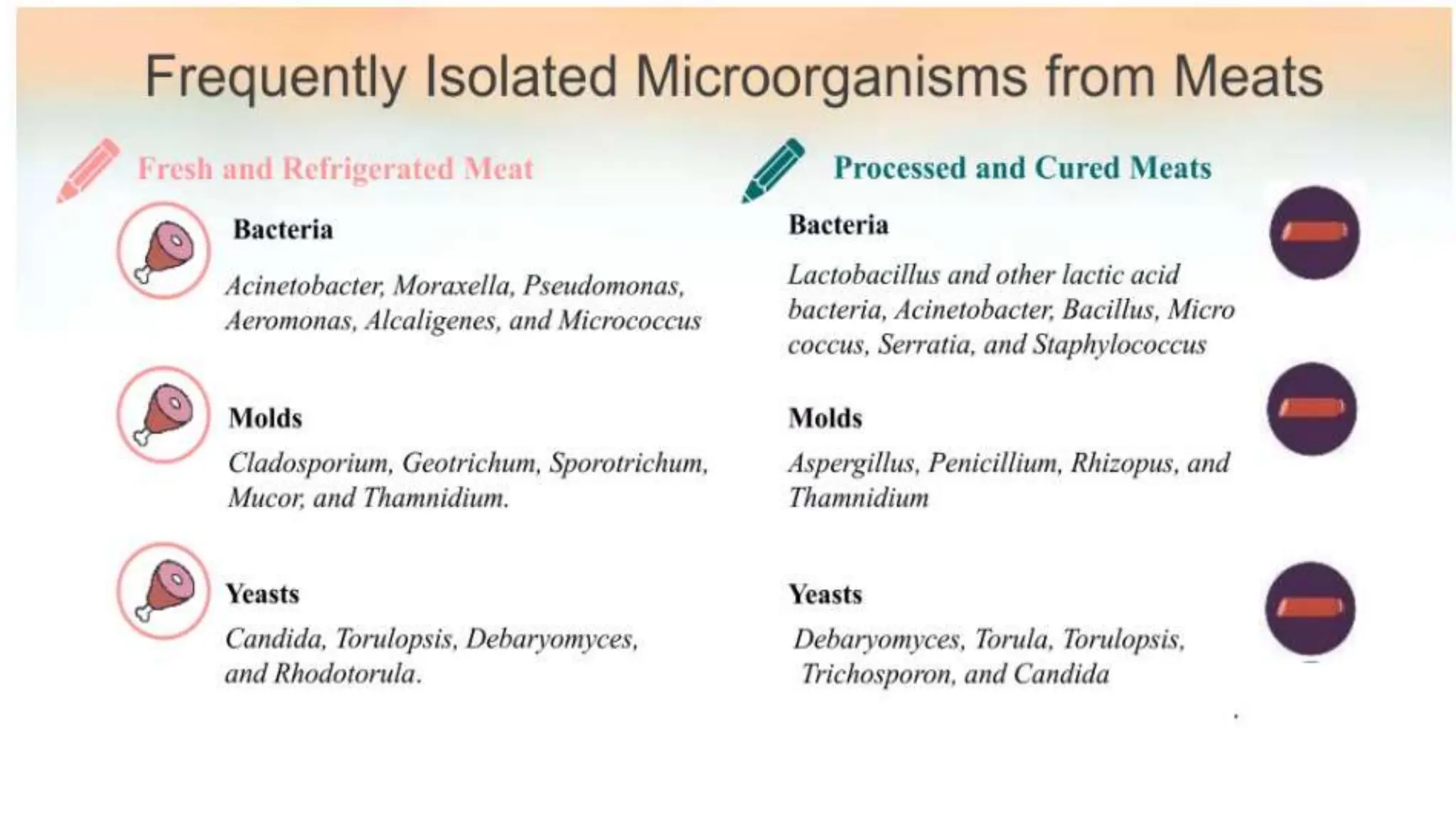 Microbial Decomposition and Spoilage of Meat | PPTX | Vegetarian Diets ...