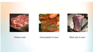 Microbial Decomposition and Spoilage of Meat | PPTX | Vegetarian Diets ...