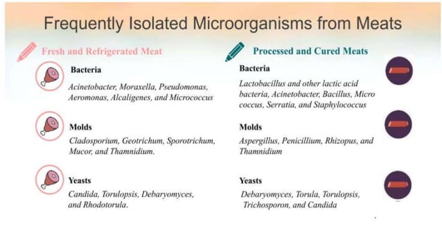 Microbial Decomposition and Spoilage of Meat | PPTX | Vegetarian Diets ...