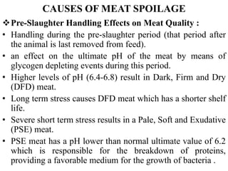 Meat spoilage and preservation techniques By Manoj Dhital (M.Sc ...