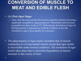 MEAT TECHNOLOGY NOTES.pptx