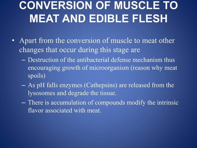 MEAT TECHNOLOGY NOTES.pptx
