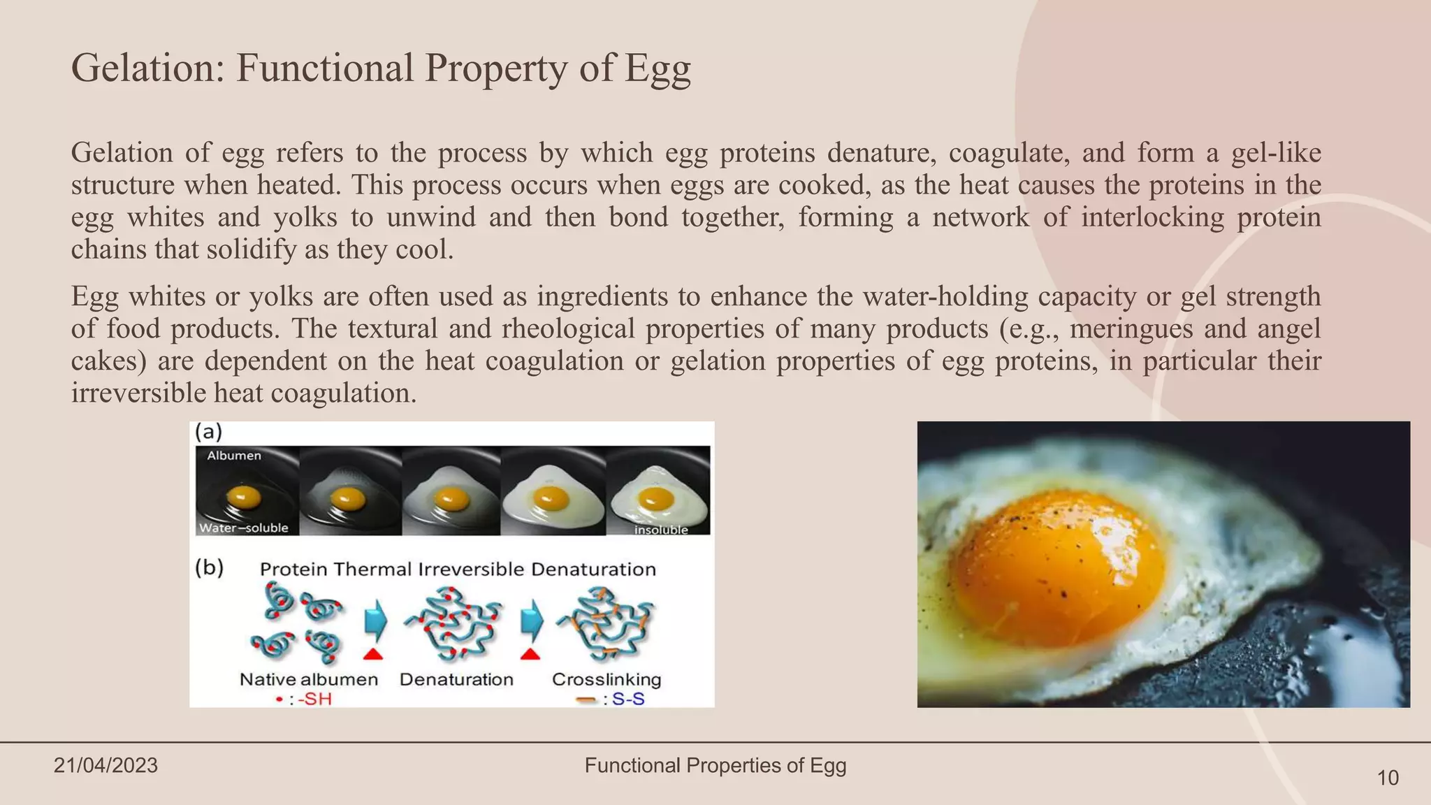 Factors affecting Functional property of Egg | PPTX