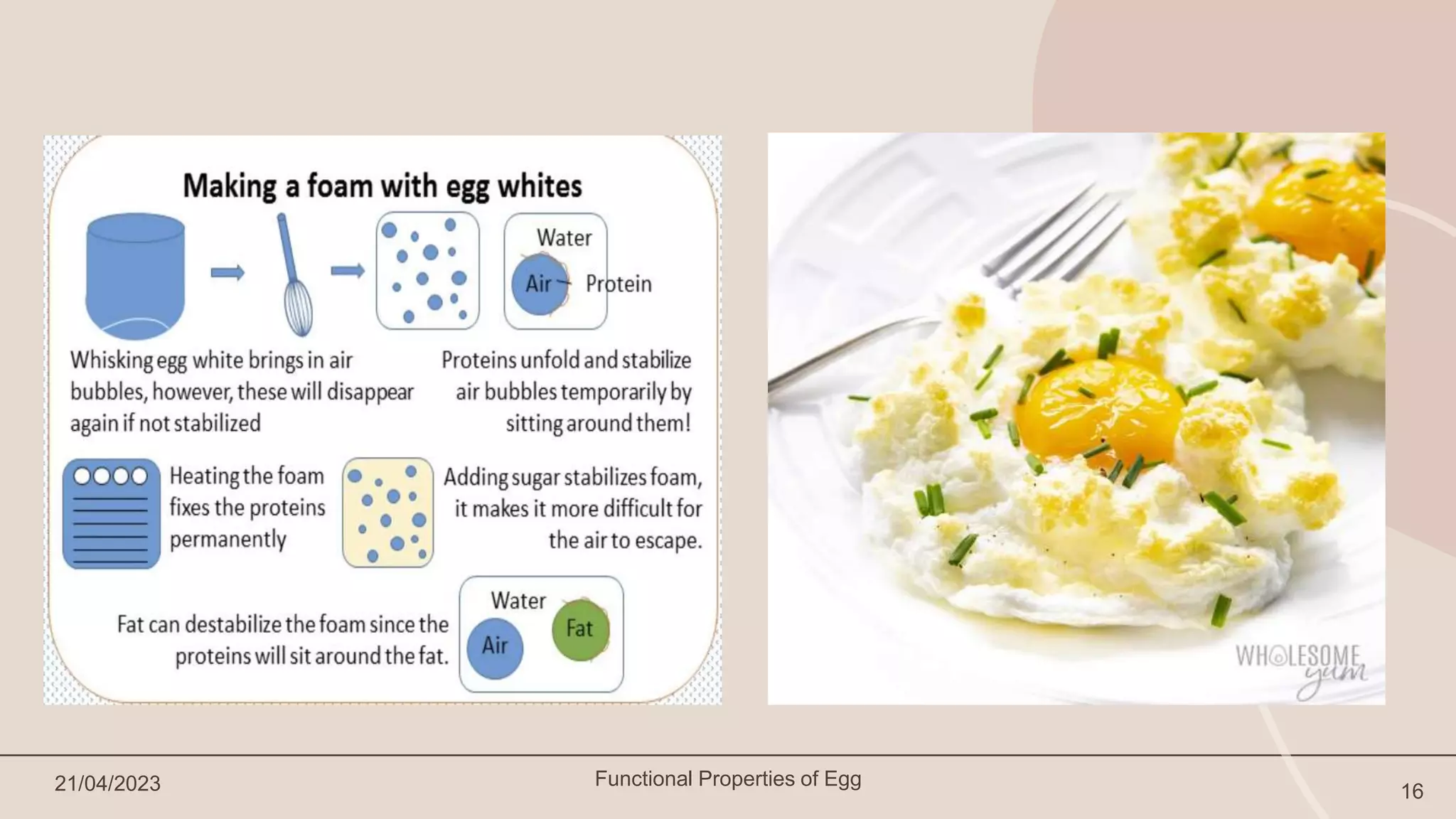 Factors affecting Functional property of Egg | PPTX