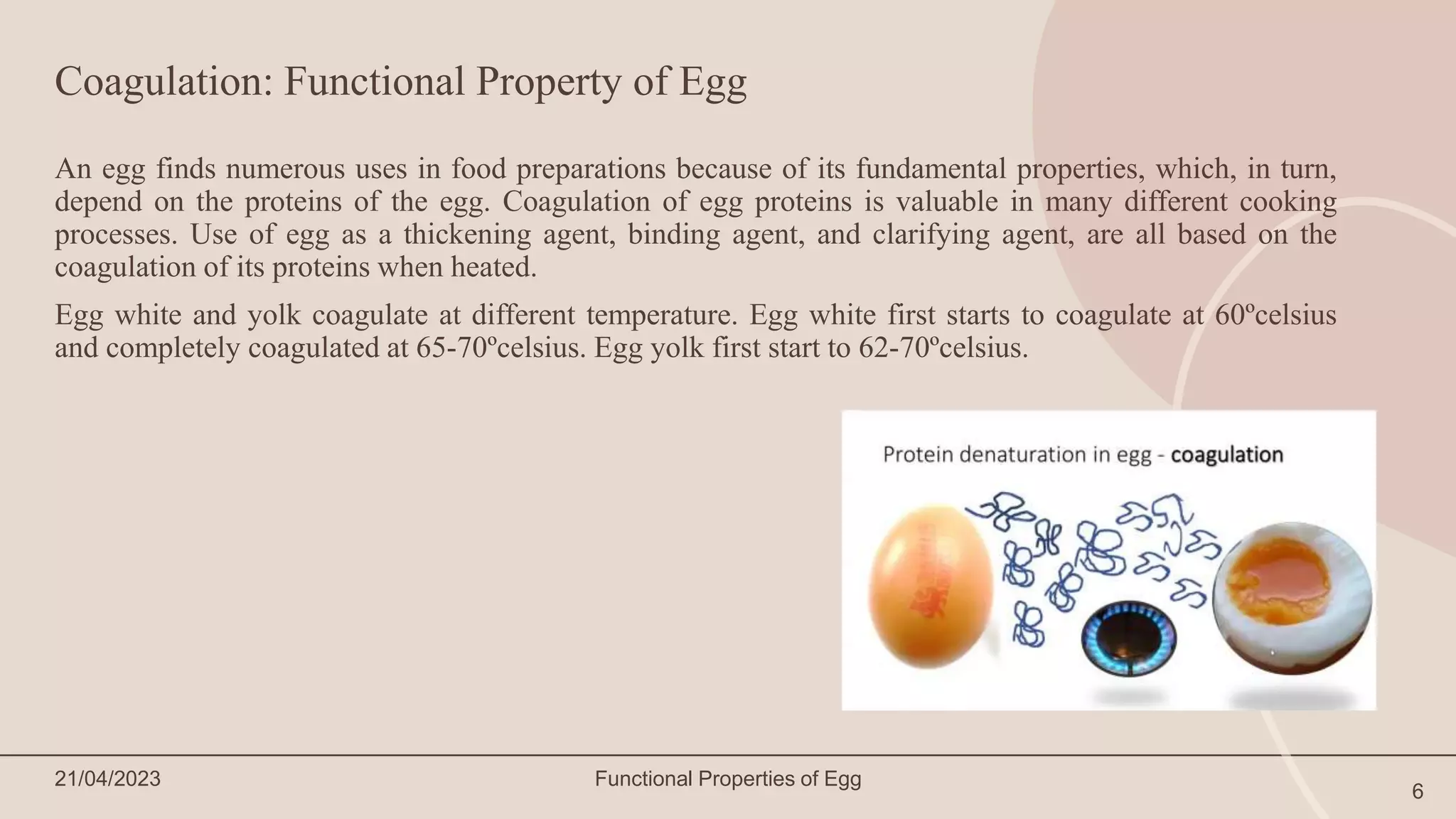 Factors affecting Functional property of Egg | PPTX