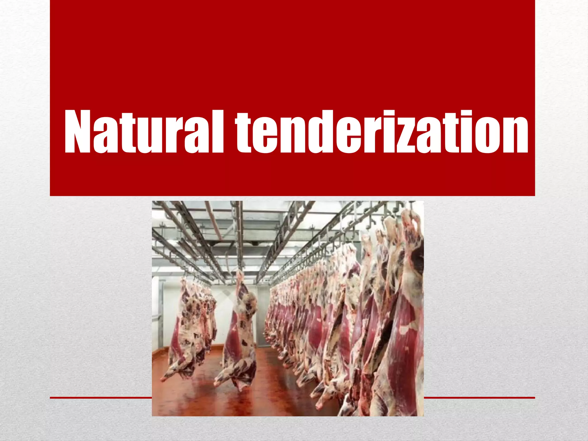 Meat tenderization | PPTX